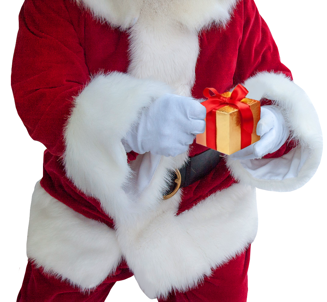 Make Your Santa Reservation Today | The Mall at Stonecrest